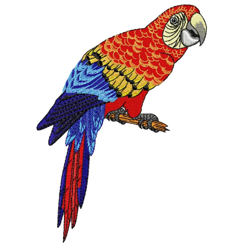 Popugai Free Embroidery Design